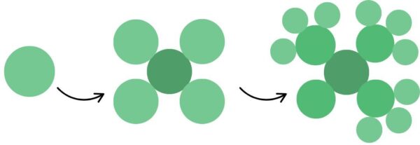 Circles in sociocracy: an effective organizational structure