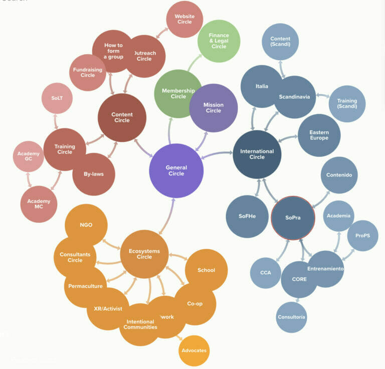Circles in sociocracy: an effective organizational structure