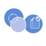 Circles in sociocracy: an effective organizational structure