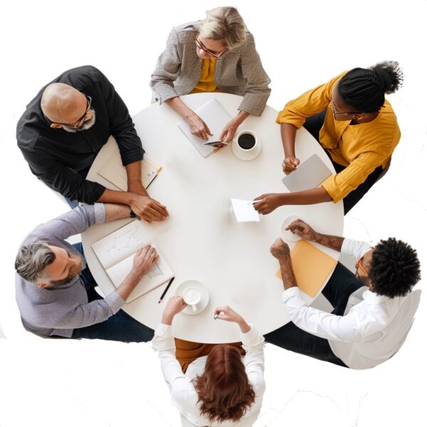 Circles in sociocracy: an effective organizational structure